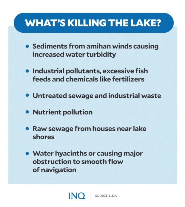 Summers in Laguna Lake: The continuing drive to preserve water quality ...