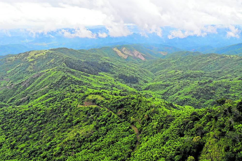 UP expert: Upland farming main driver of deforestation