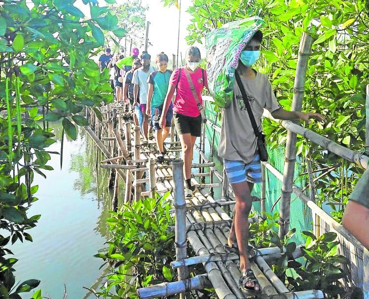 PH school’s mangrove project among ‘World’s Best’ | Inquirer News