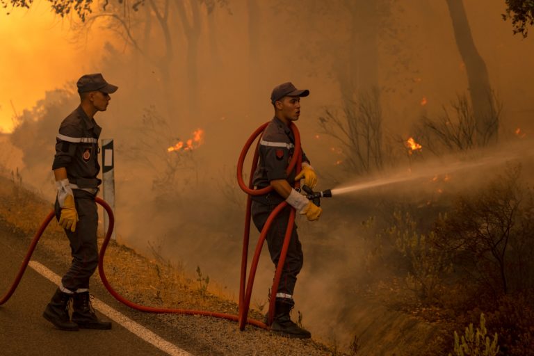 More firefighters, soldiers sent to tackle Morocco’s forest blazes ...