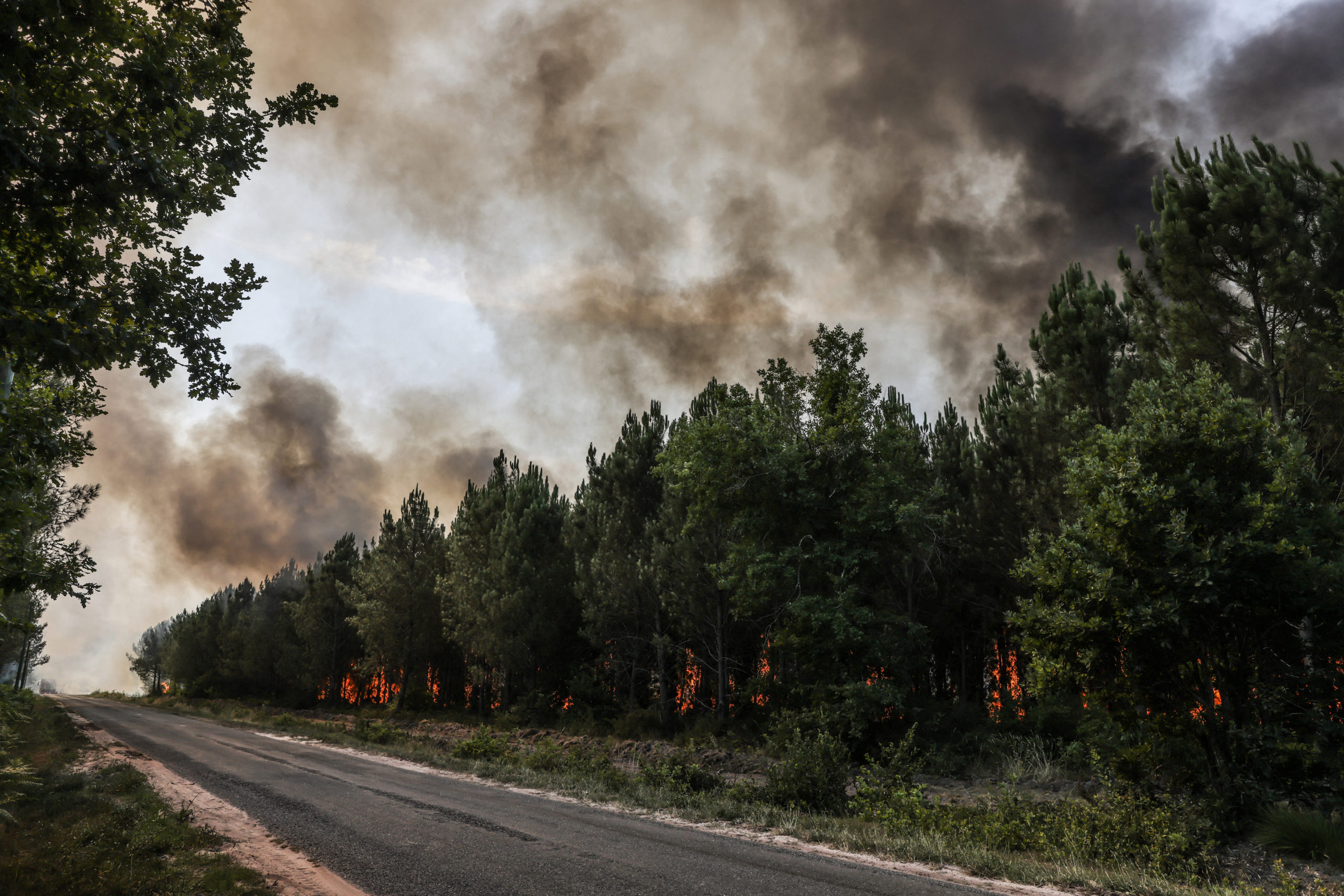 France on alert as forest fires rage in scorching southwest Europe ...