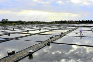 Pangasinan salt farmers feel pinch of ailing industry | Inquirer News