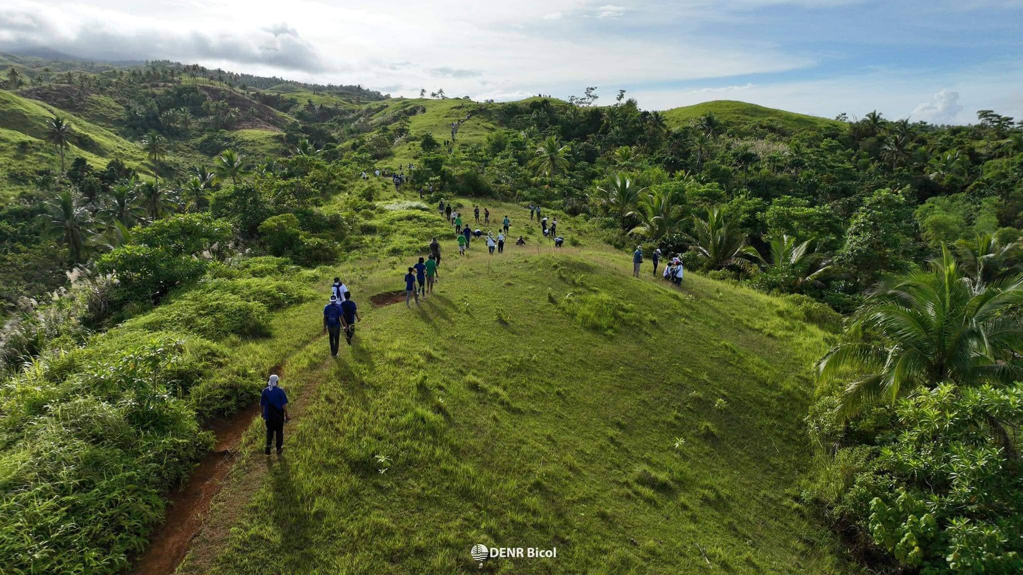 400 join simultaneous tree-planting events in Bicol | Inquirer News