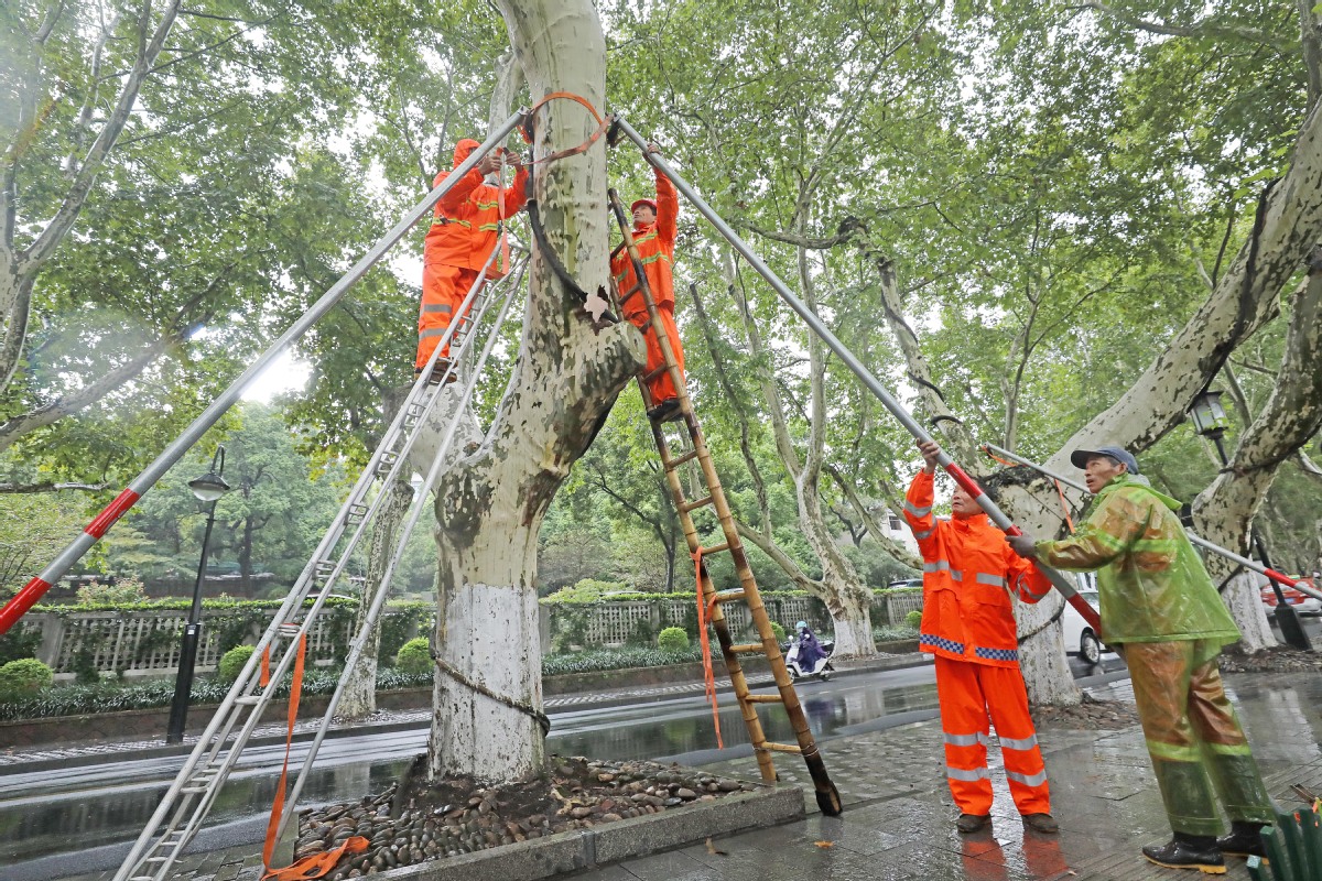 China's Zhejiang on high alert as Typhoon Muifa approaches | Inquirer News