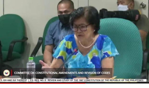 NSA chief says no 'bobo' can be part of parliament | Inquirer News