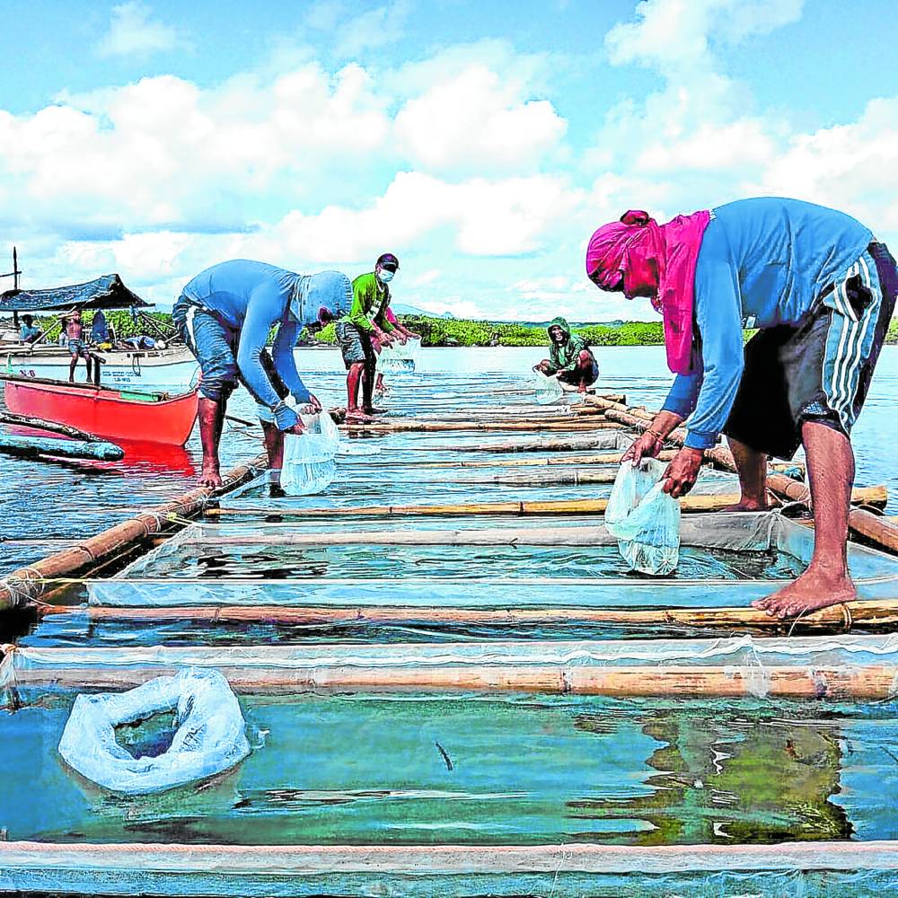 BFAR eyes discounted fuel for fishermen | Inquirer News