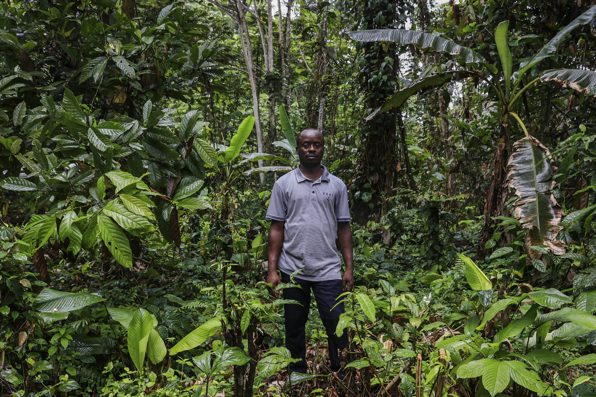 Hungry elephants, Cameroon farmers struggle to coexist | Inquirer News