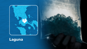 Shabu worth P268,000 seized in Laguna bust | Inquirer News