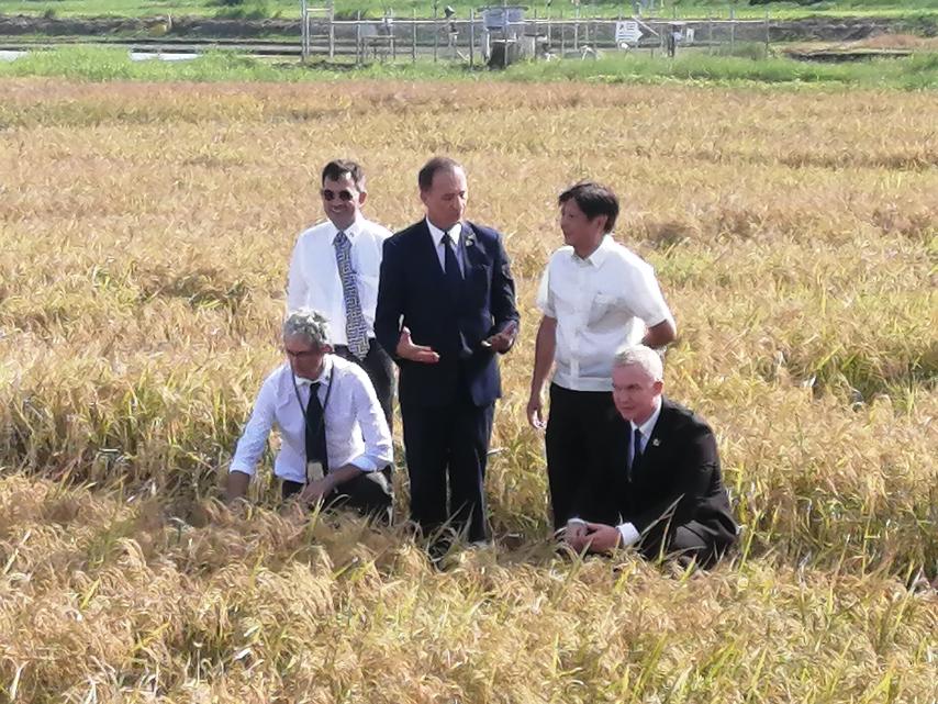 LOOK: Marcos Jr. recreates father’s iconic photo at IRRI | Inquirer News