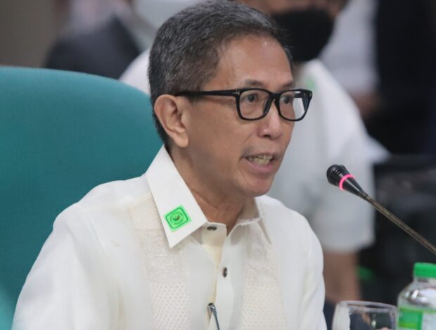 CA deliberations on Lotilla’s DOE appointment deferred again | Inquirer ...