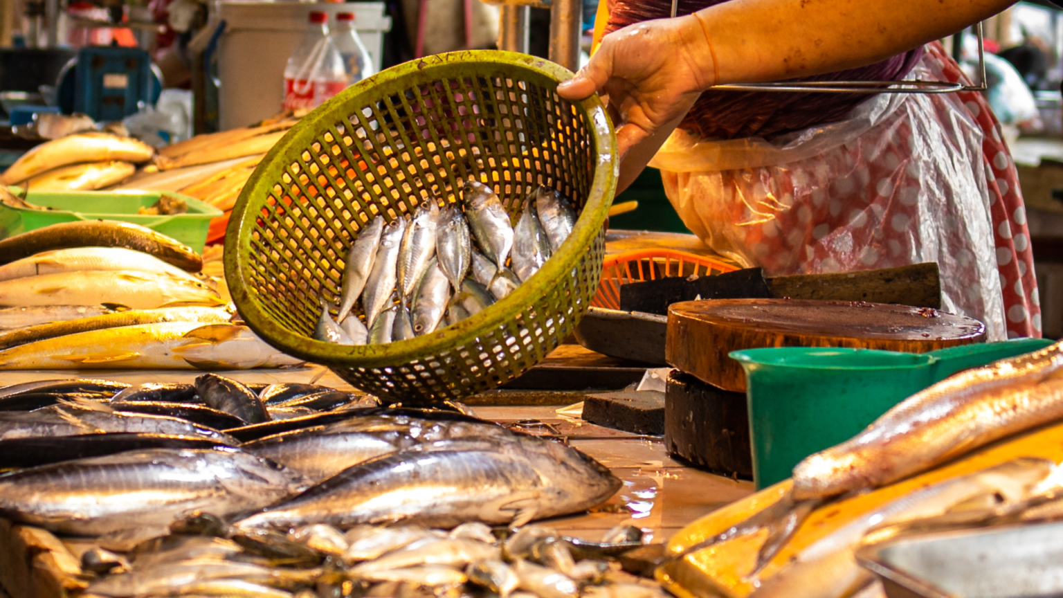 PFDA: November posts highest fish unloading for 2023