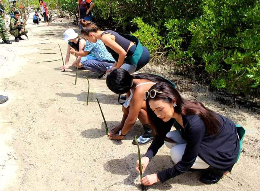 Miss Earth 2022 hopefuls plant mangrove propagules in Albay's west ...