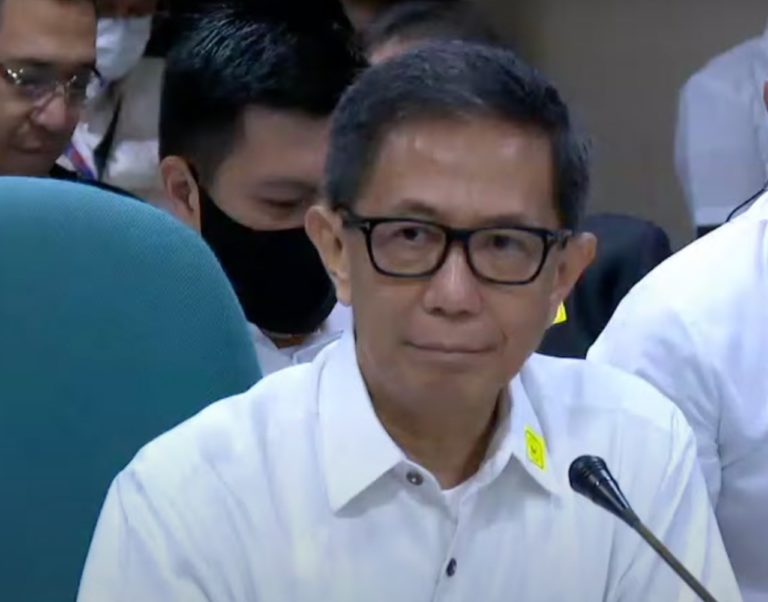 CA panel approves Lotilla’s ad interim appointment at DOE | Inquirer News