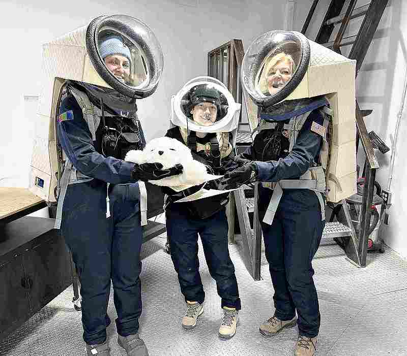 With eyes on Mars, US scientists test Japan-made robot seal for ...