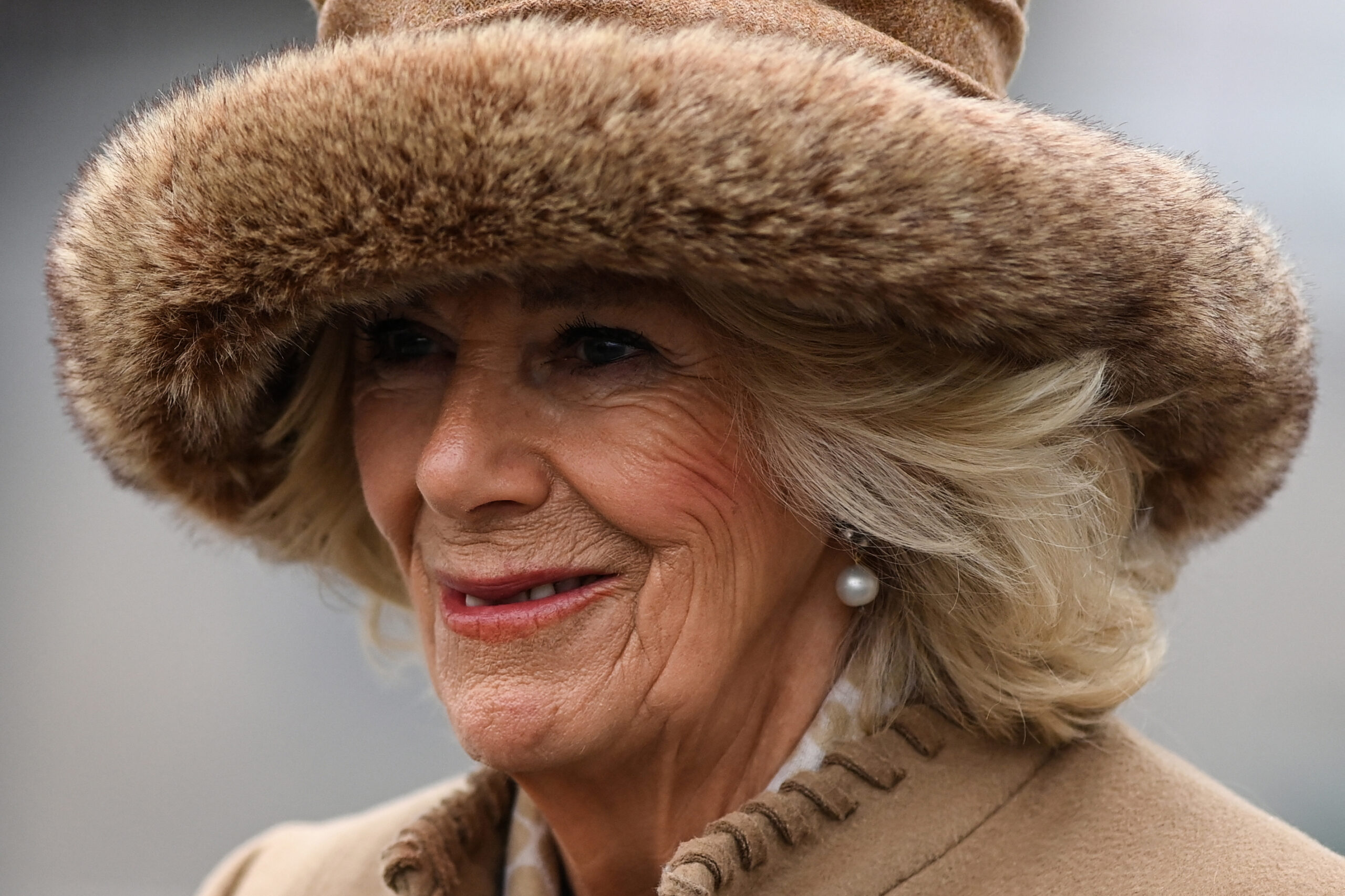 UK's Queen consort Camilla: from palace margins to royal limelight ...