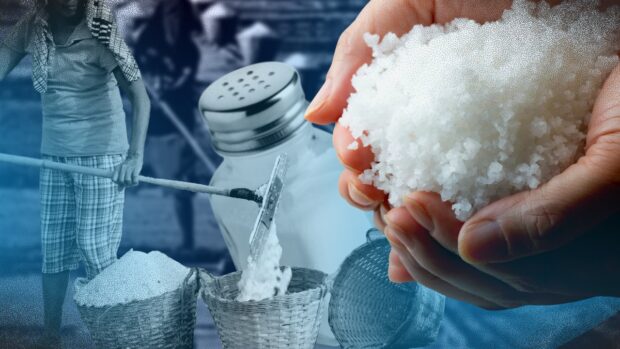 WHO study bares bitter health impact of excessive salt use: Deaths ...