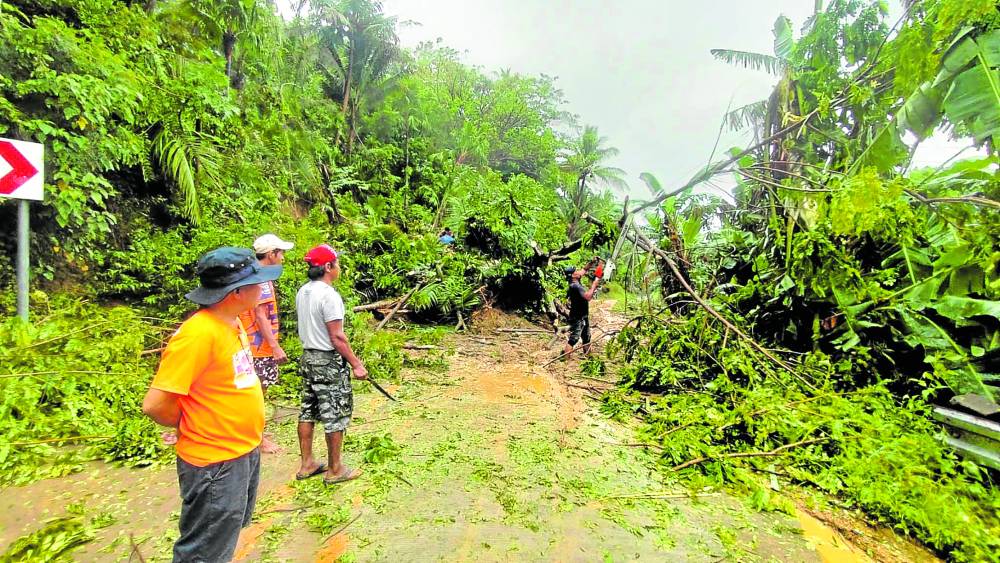 Amang damage to agriculture reaches P50 million | Inquirer News