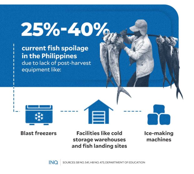 PH post-harvest fish losses need more than band-aid solutions, gov’t ...