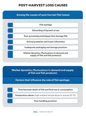 PH post-harvest fish losses need more than band-aid solutions, gov’t ...