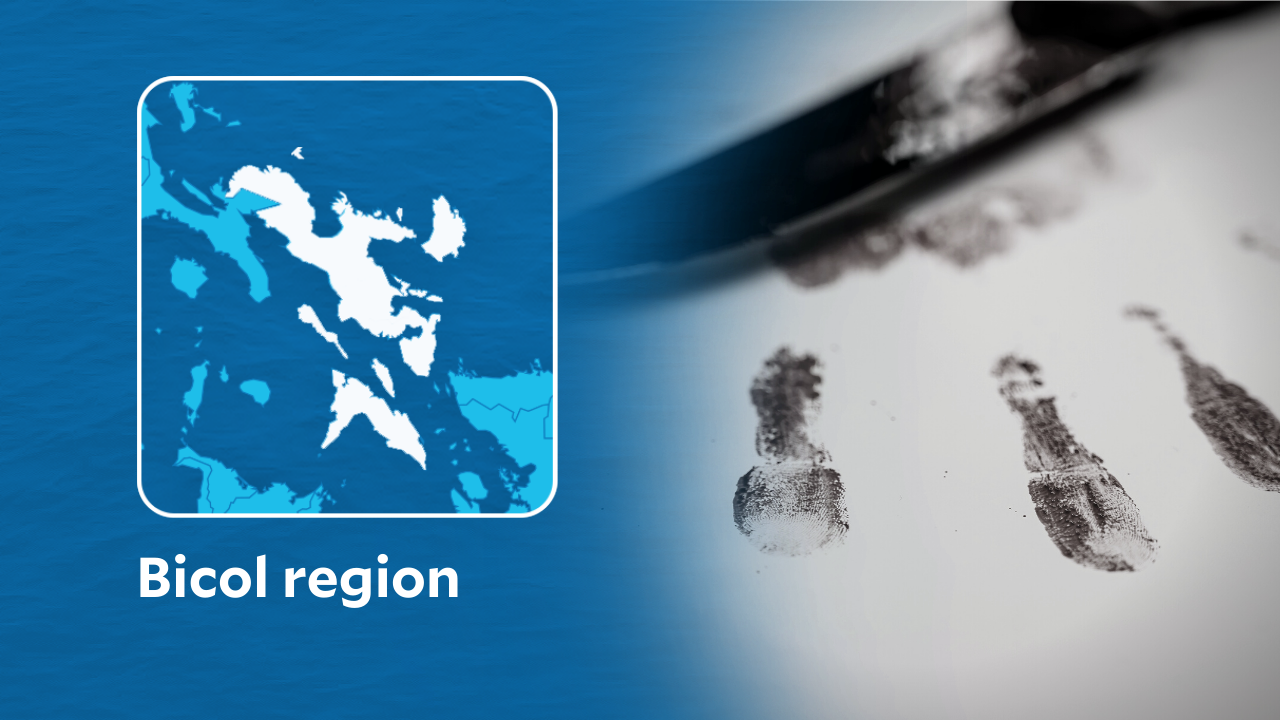 Village watchman, another slain in separate hacking incidents in Bicol ...