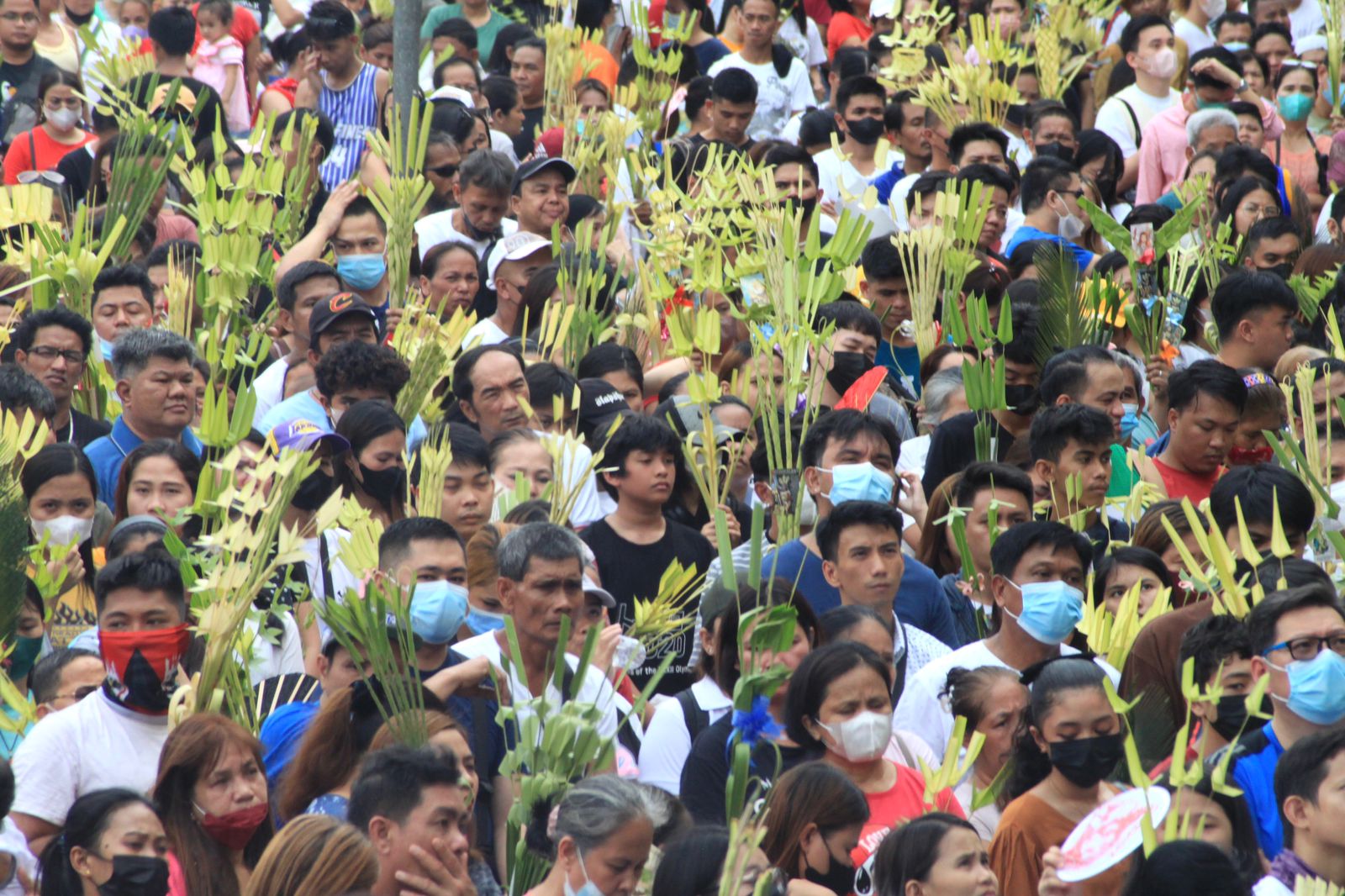 Over 59,000 devotees flock to Quiapo Church for Palm Sunday | Inquirer News