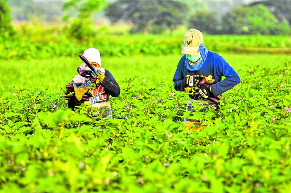 Bill seeks to turn Maharlika Road to PH ‘National Food Highway ...