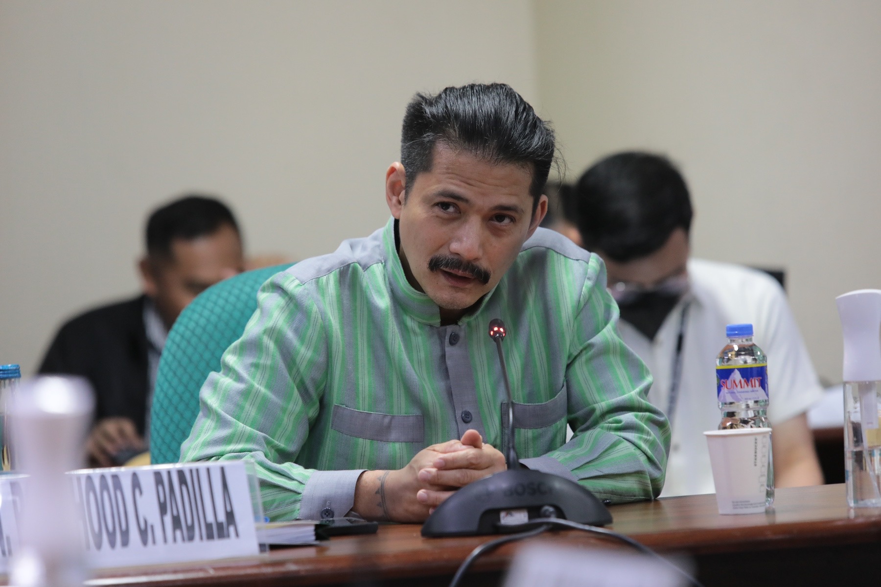Padilla describes as pests those saying extension of estate tax amnesty ...
