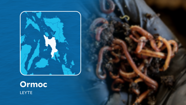 Red worms in Leyte's Ormoc Bay? DENR Eastern Visayas moves to check ...