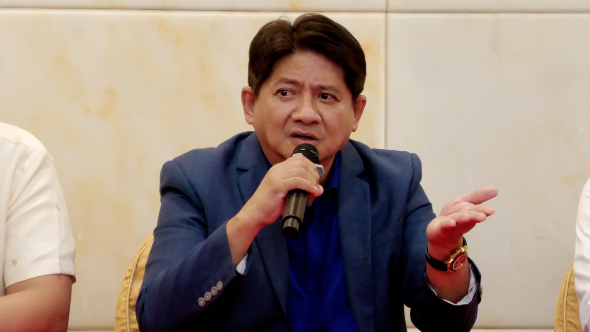 Gadon proposes political amendments to 1987 Constitution