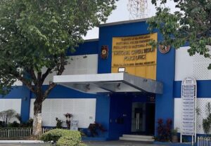 NCRPO to deploy 4,400 cops in Metro Manila for two-day transport strike ...