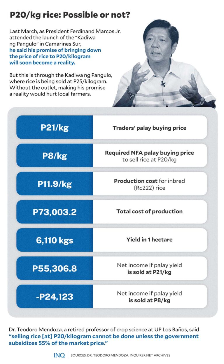 A year into Bongbong Marcos’ rule: P20/kg rice becomes a conundrum ...