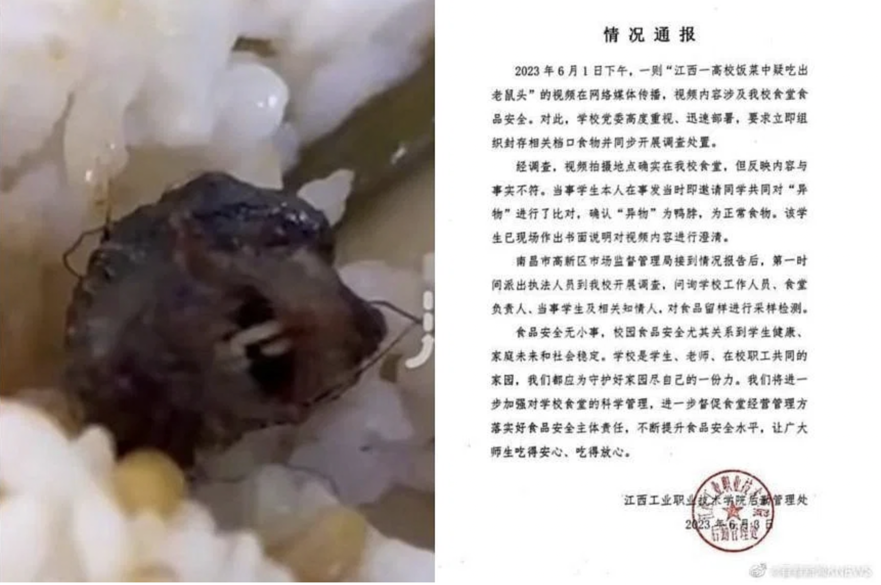 Mouse heads found in canteen lunch boxes in China highlight food safety ...
