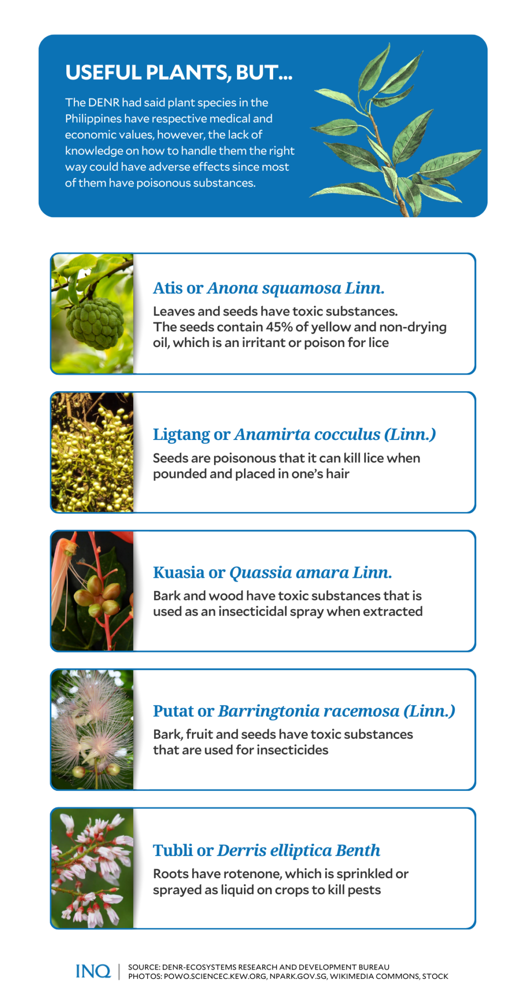 Nat’l Poison Prevention Week: Know your toxic plants, their uses ...