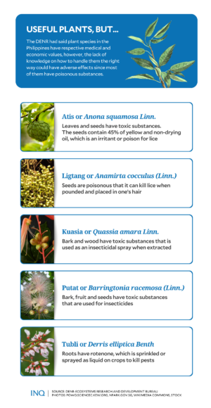 Nat’l Poison Prevention Week: Know your toxic plants, their uses ...