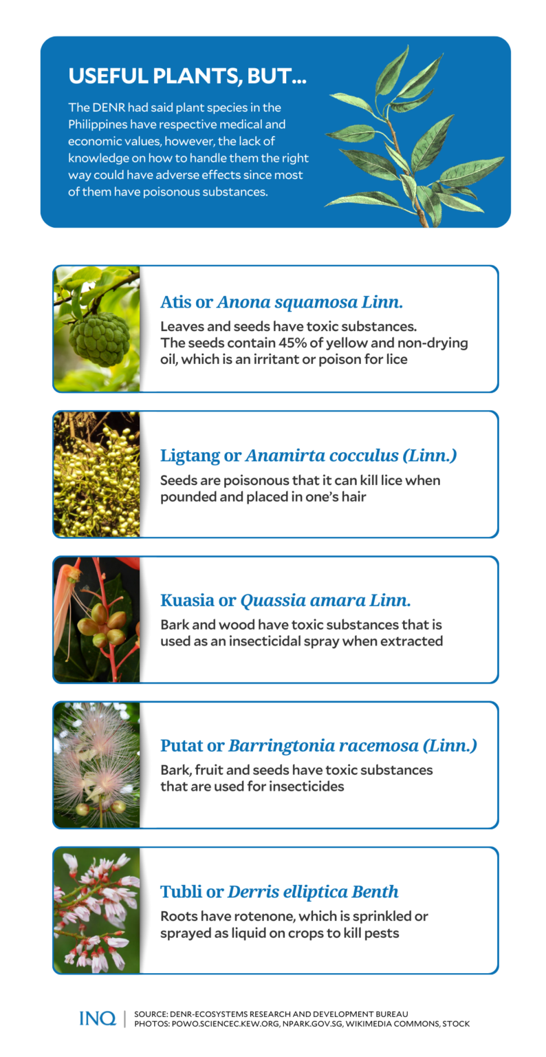 Nat’l Poison Prevention Week: Know your toxic plants, their uses ...