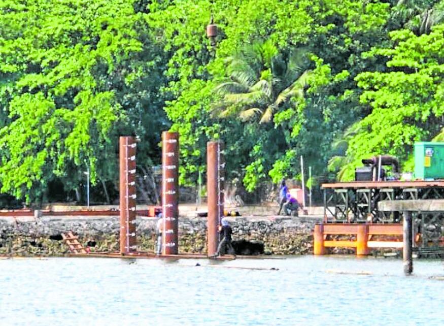 Port project on Samal Island ‘destroyed’ corals | Inquirer News