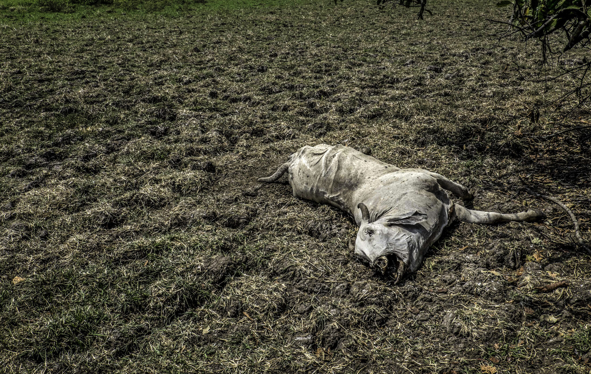 UN warns world to prepare for El Niño impact | Inquirer News