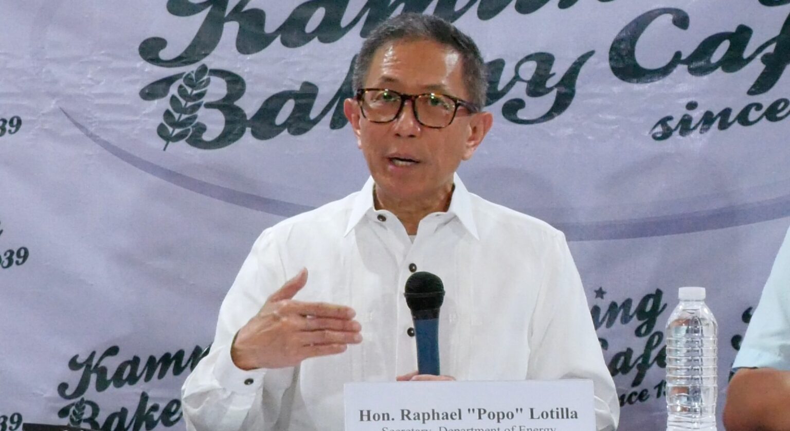 DENR to private sector: Join forest restoration, earn carbon credits