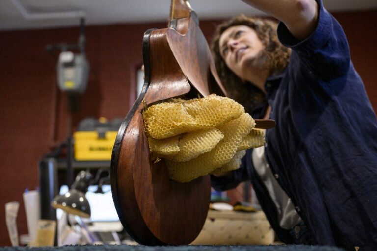 Meet the French luthier making music out of mushrooms | Inquirer News