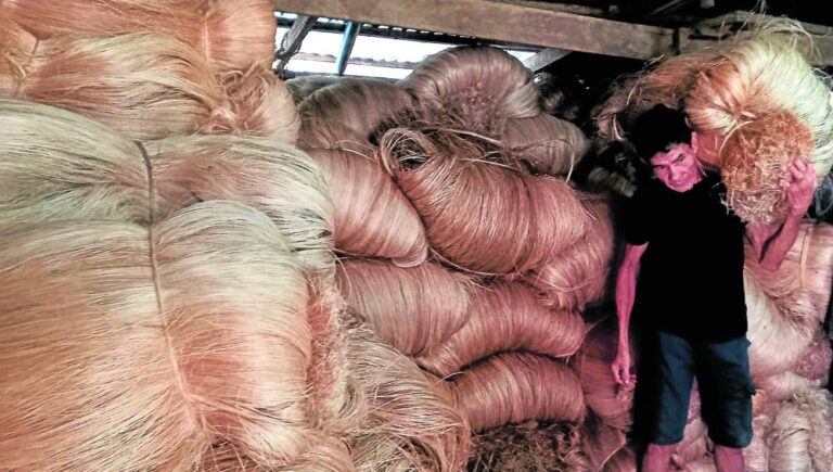 Abaca industry research, development bill filed in Senate | Inquirer News