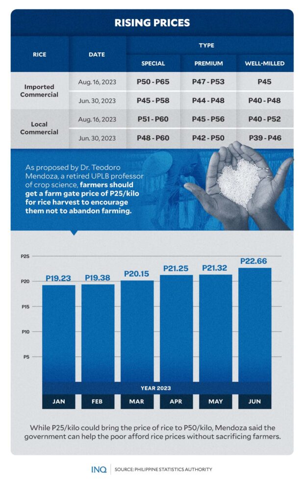 In chase for elusive P20 per kilo rice, gov’t told to keep farmers ...