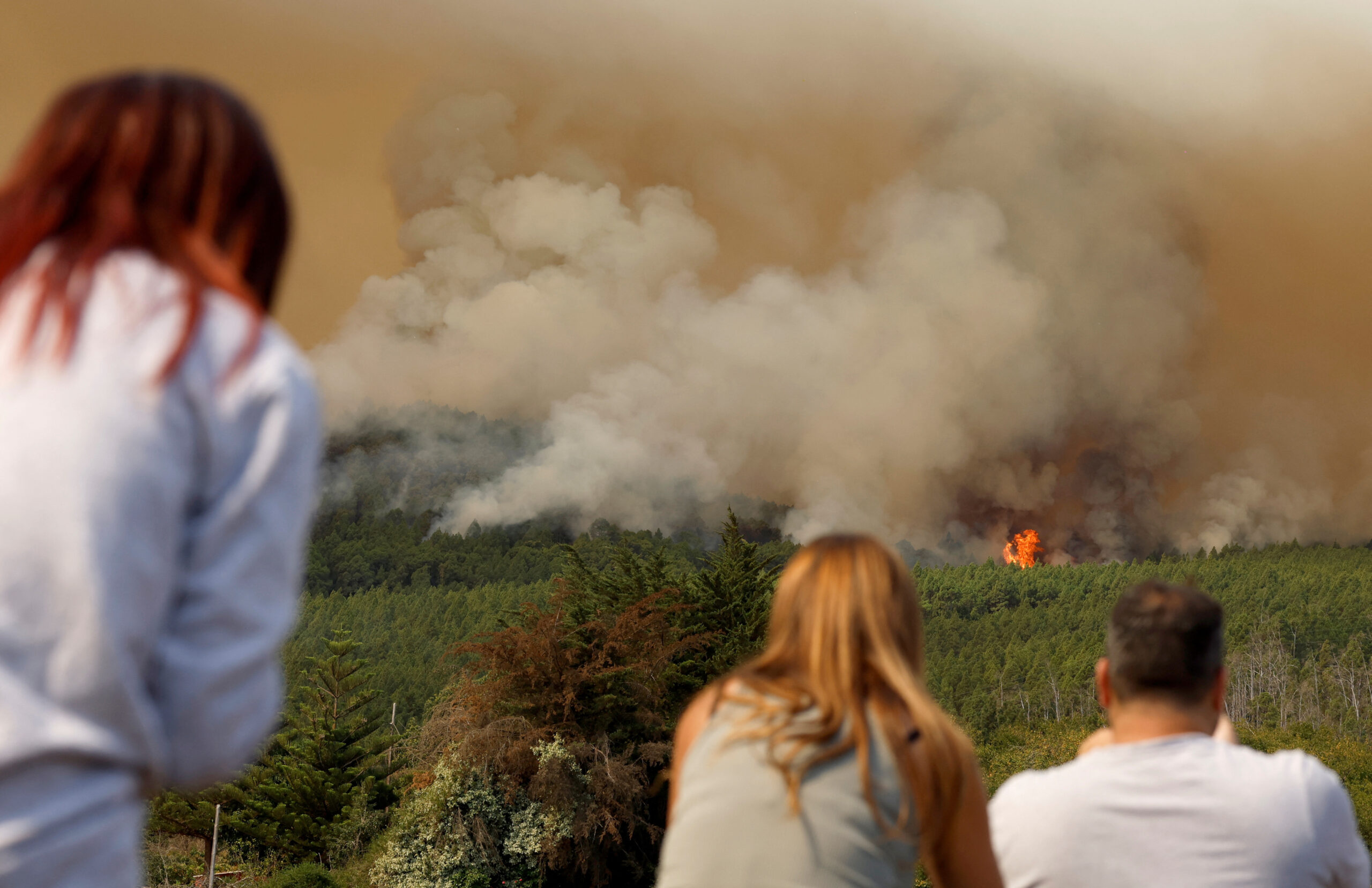 Thousands evacuated as wildfire on Spain's Tenerife island spreads ...