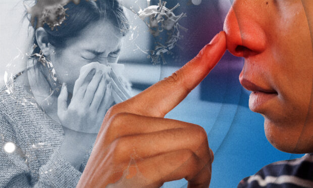 Andrea Brillantes and loss of smell: What to know | Inquirer News