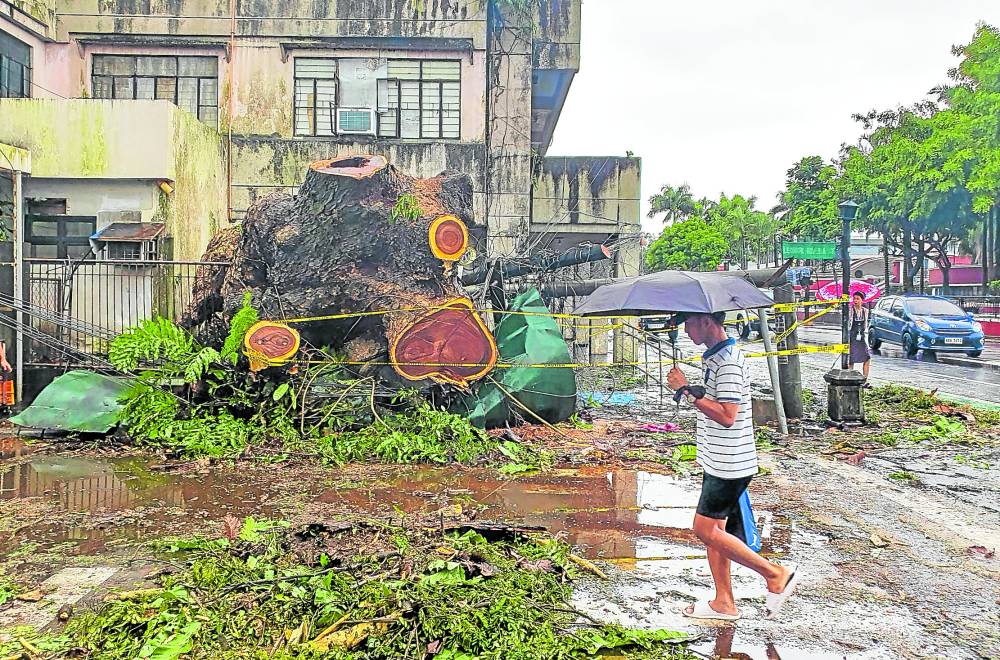 No storm, but heavy rain,strong winds hit Bicol | Inquirer News