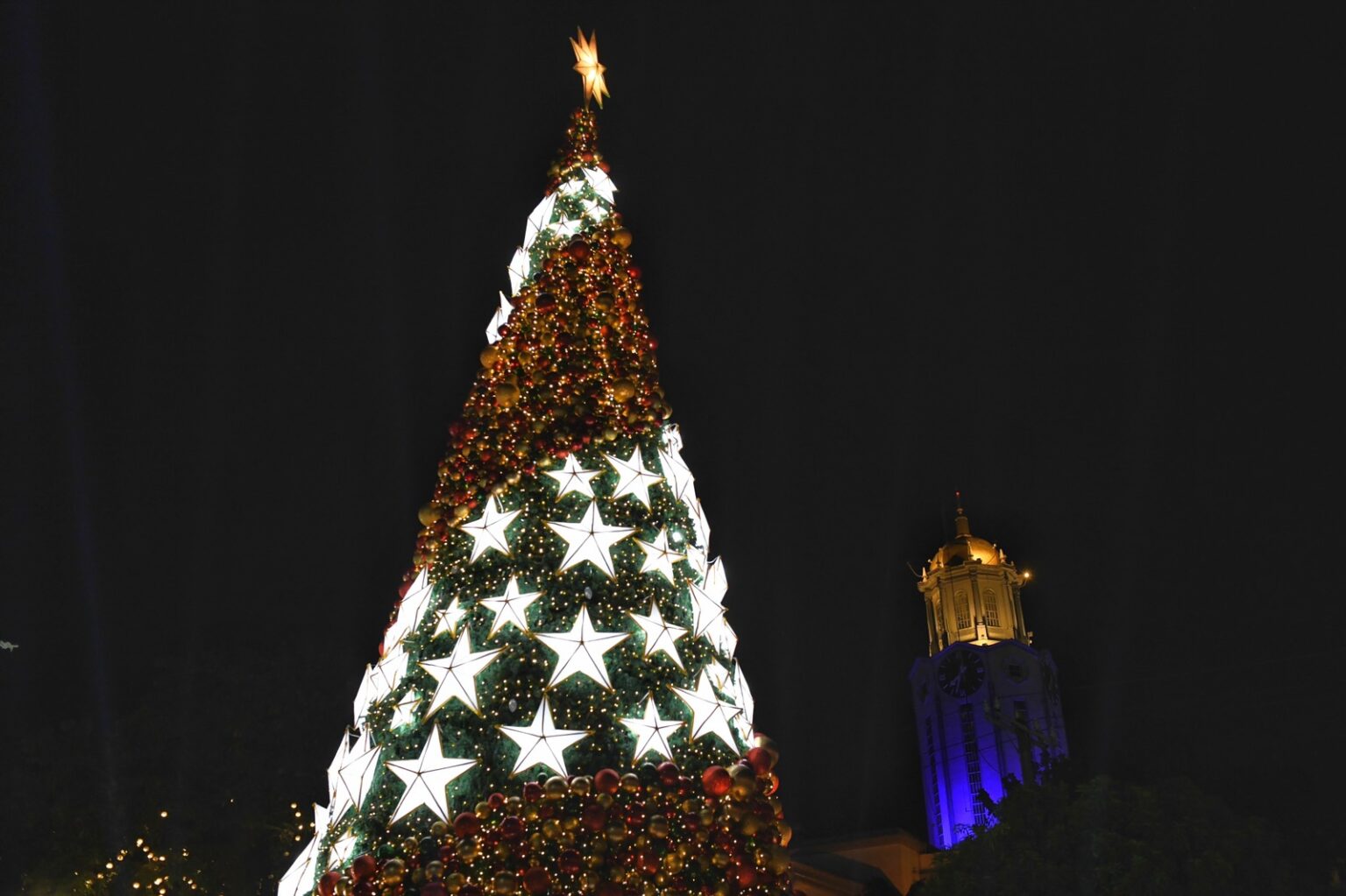 City of Manila lights up 45-foot Christmas tree | Inquirer News
