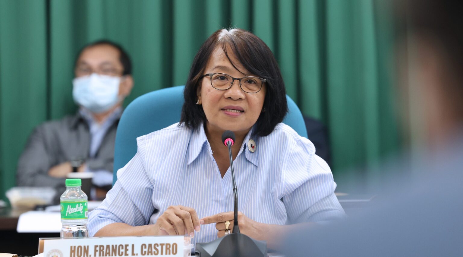 Blanks in enrolled GAB, if proven, will be constitutional issue - solon