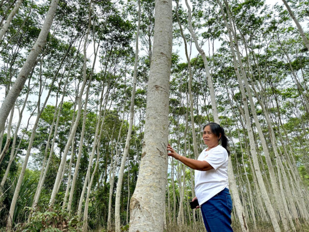 Beyond incomes: Quality seeds boost women’s role in forest restoration | Inquirer News