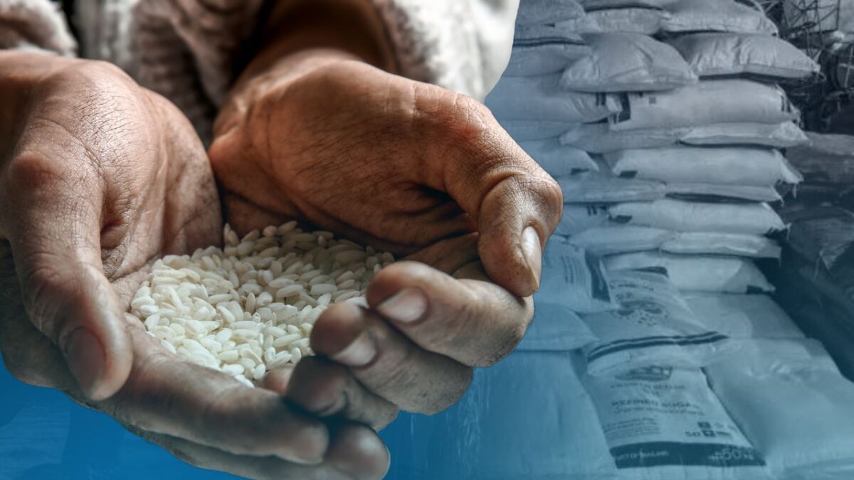 PH aiming for rice self-sufficiency by 2028 – Romualdez