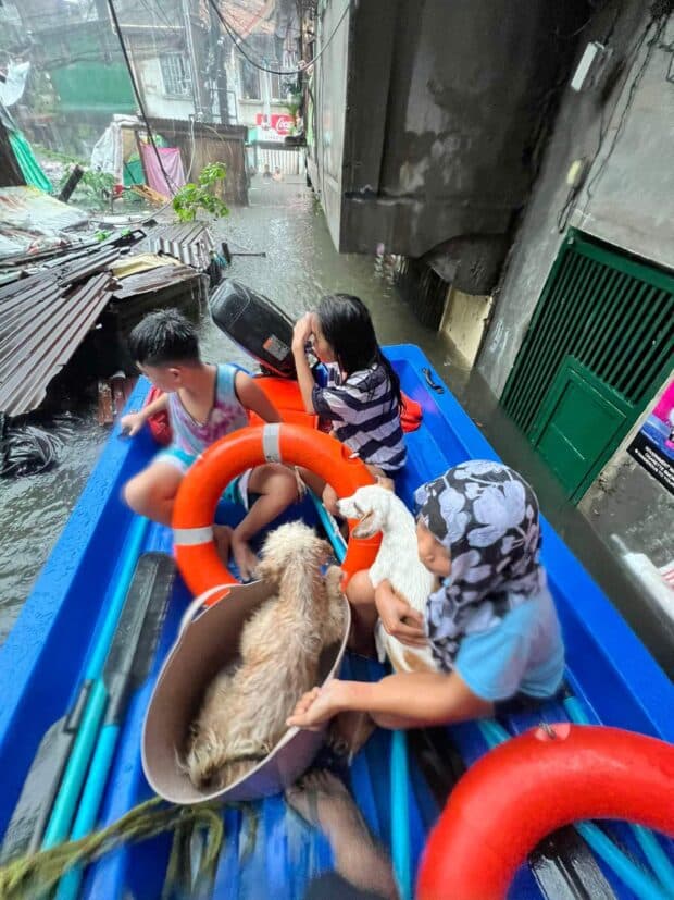 LOOK: Pets, stray animals rescued amid Typhoon Carina