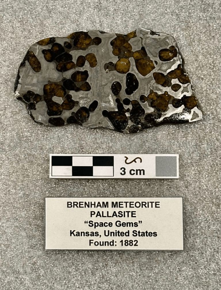 National Museum of the Philippines receives meteorite collection